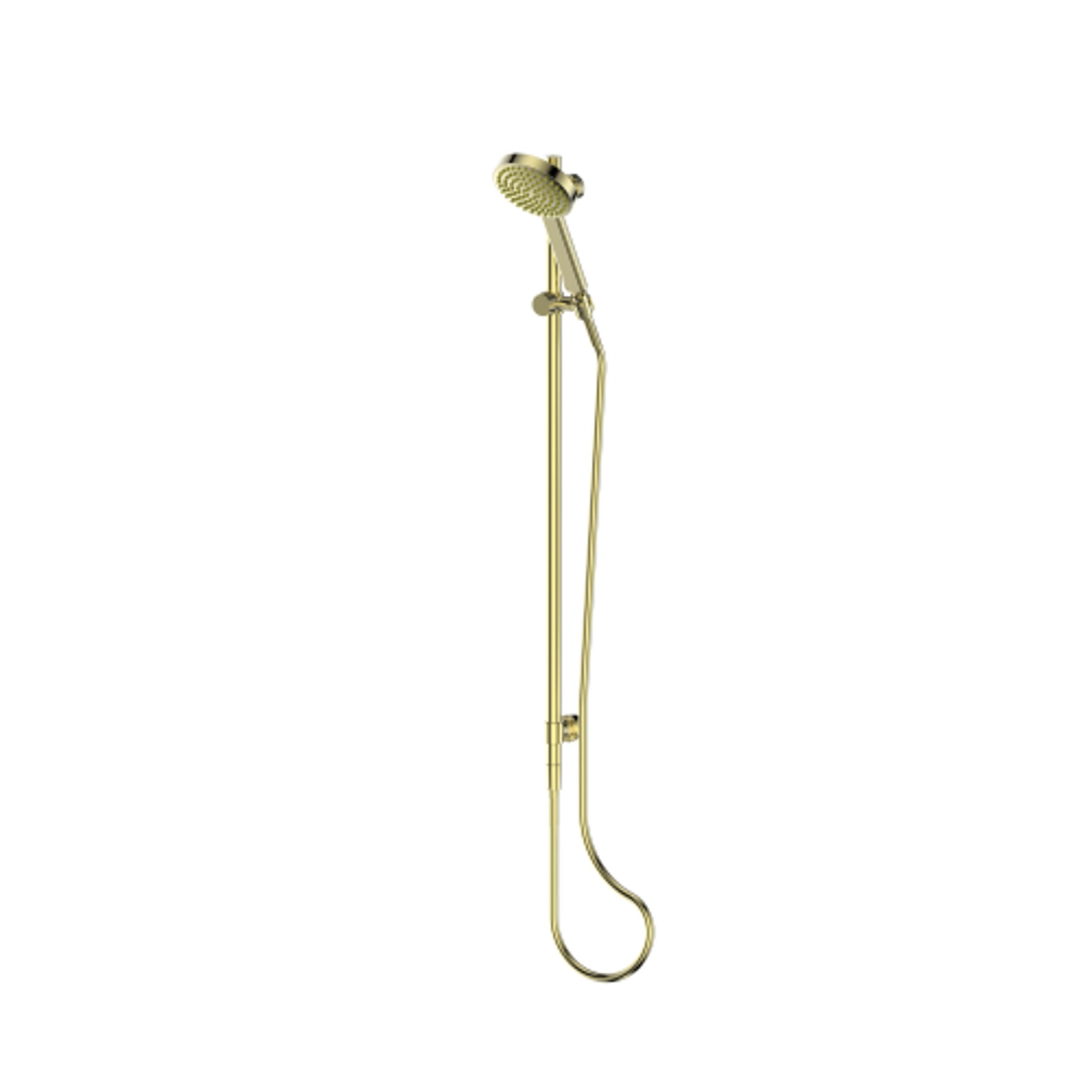 Lavish Brass Rail Shower | ArchiPro AU