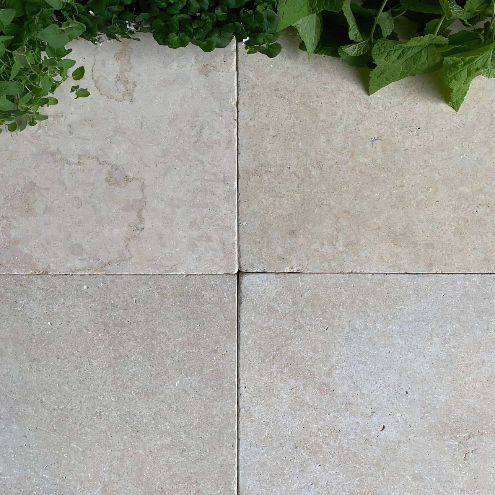 Cream Limestone | ArchiPro AU
