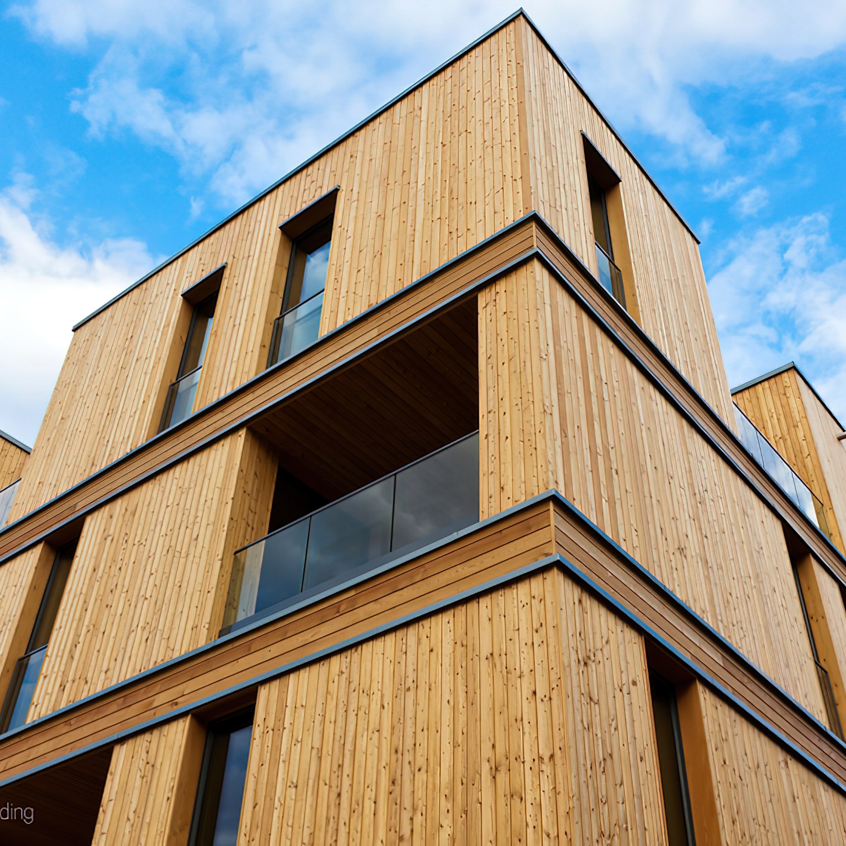 Cypress Pine Timber | ArchiPro AU