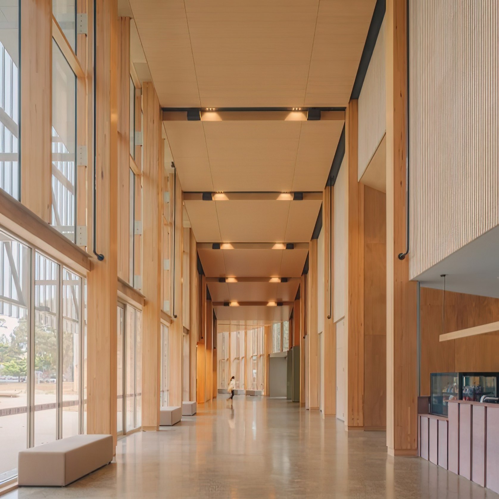 Mass Timber | ArchiPro AU