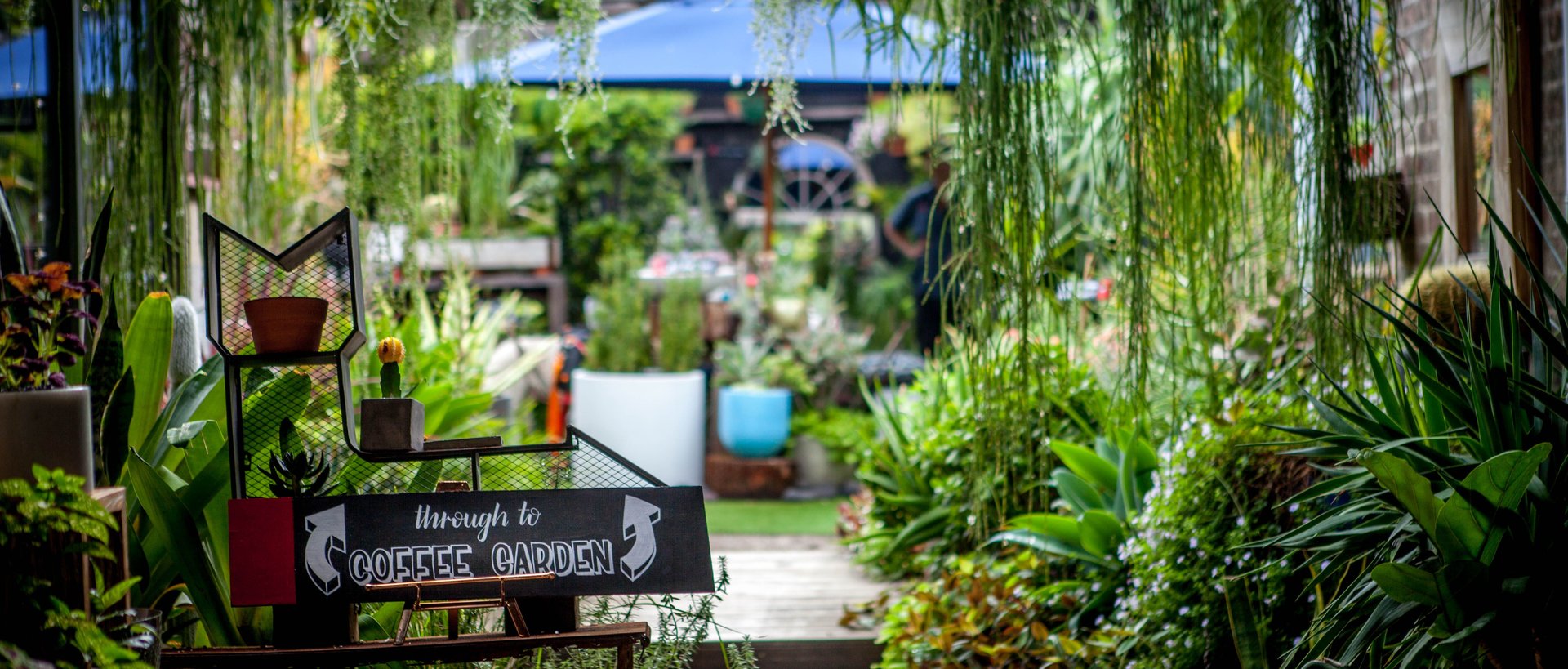 Mike Cass Creative Landscape Architecture