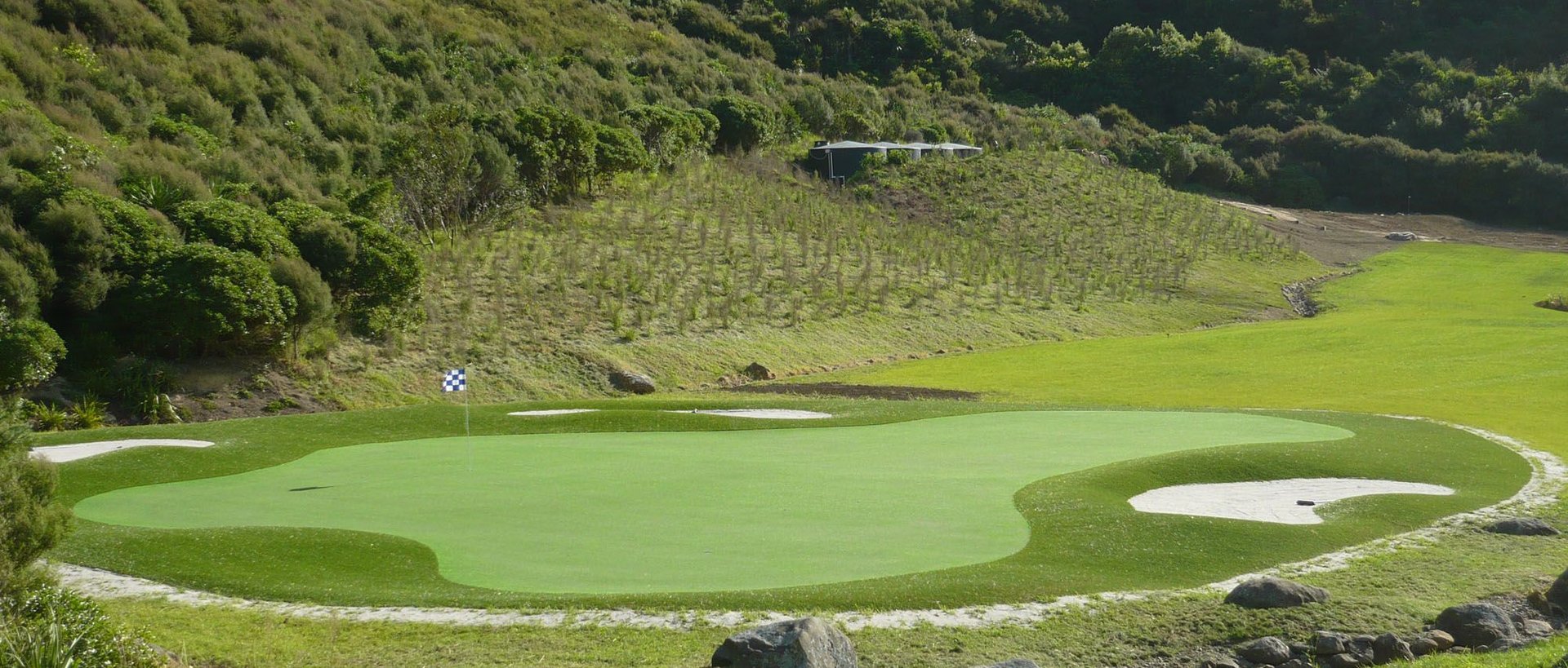 Shop Our Products | TigerTurf