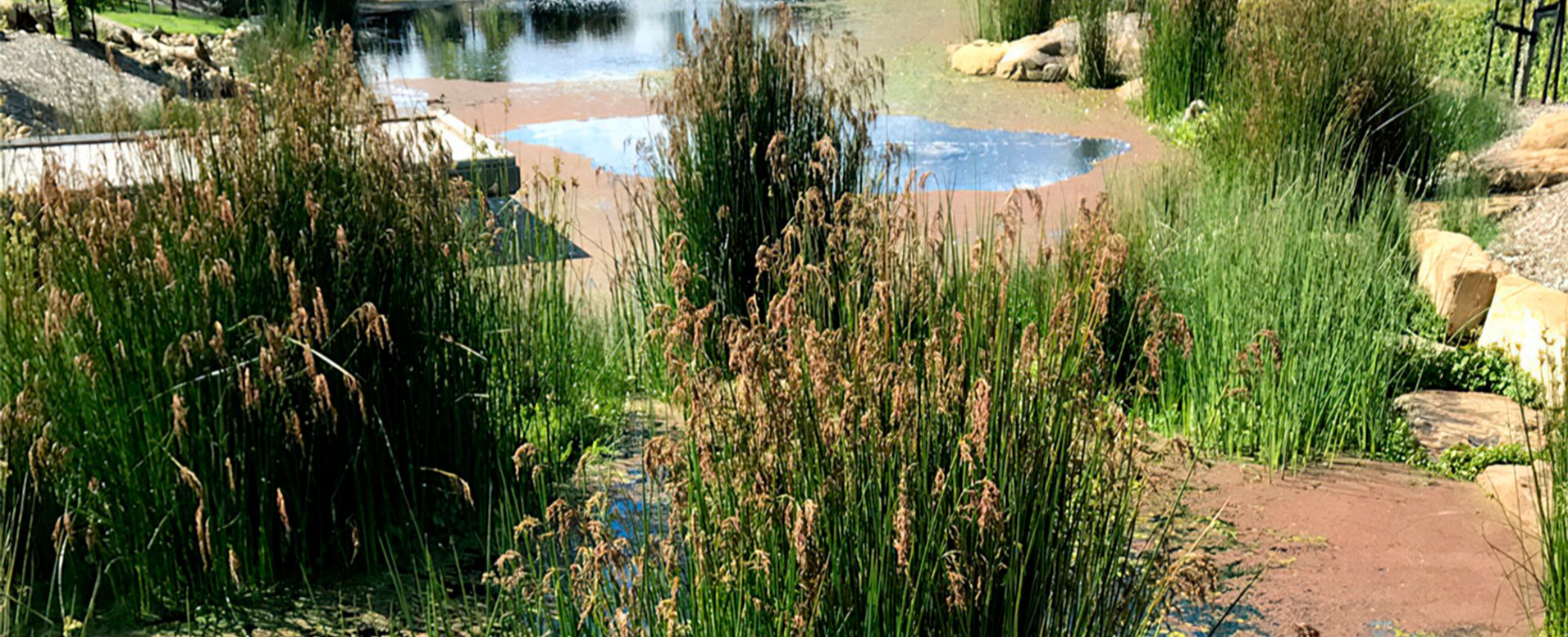 Plenty Valley by STEM Landscape Architecture & Design | ArchiPro AU