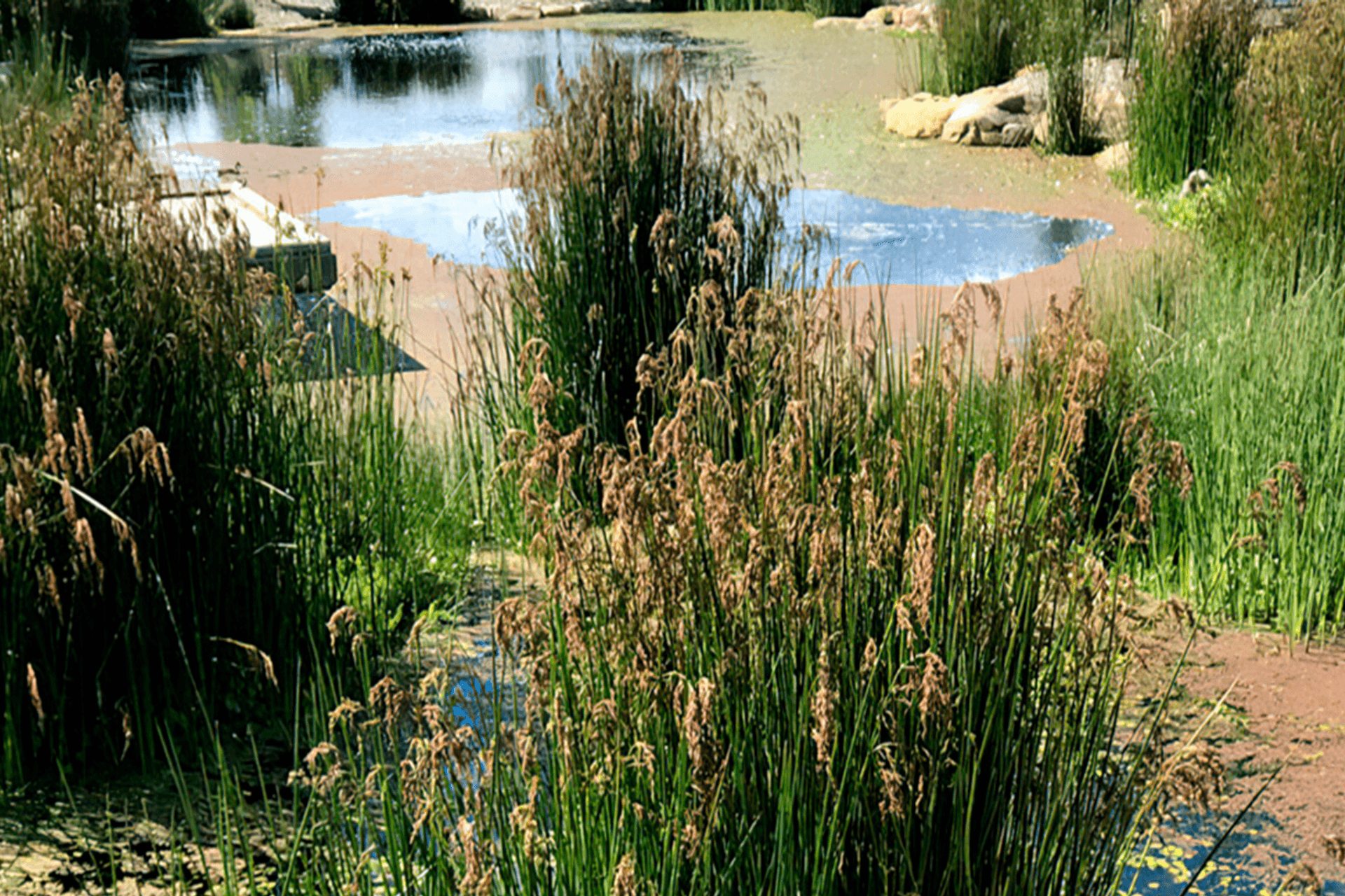 Plenty Valley by STEM Landscape Architecture & Design | ArchiPro AU