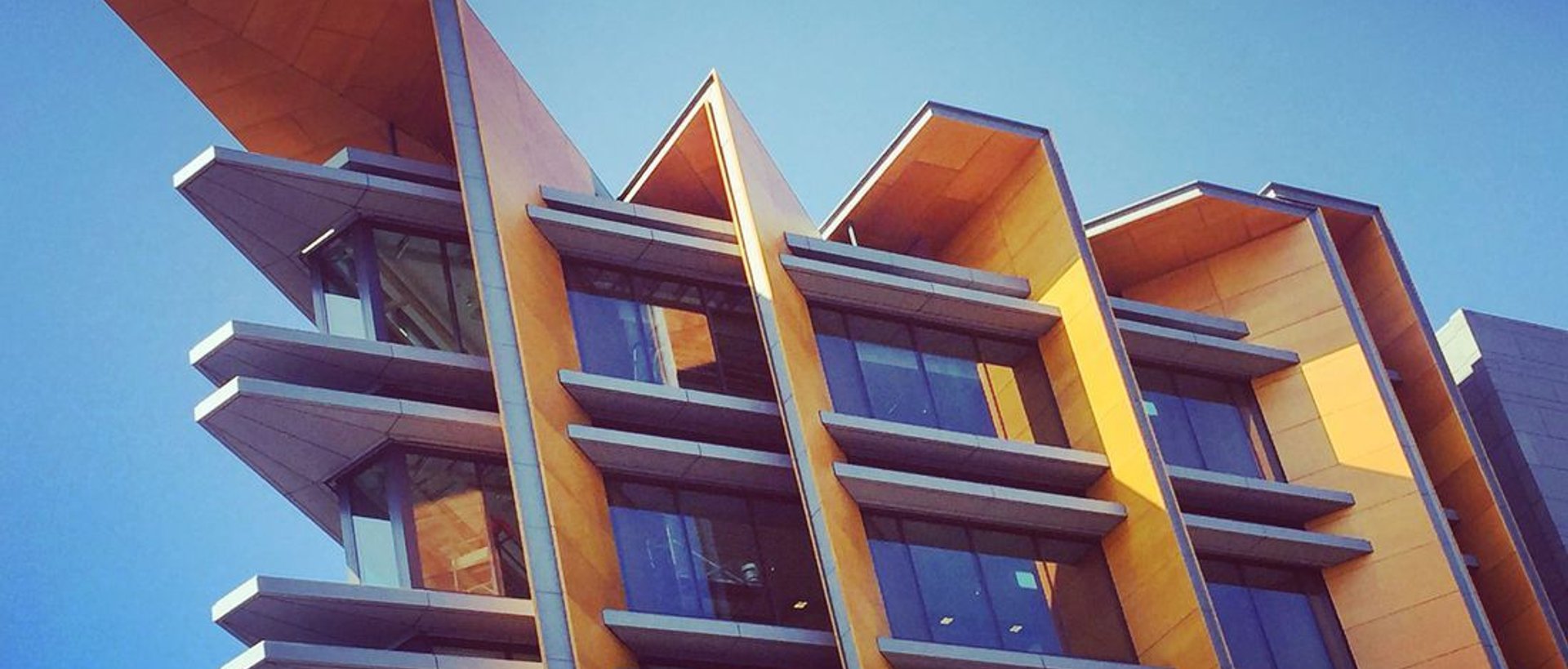 Newcastle Courthouse by Darrall Gibson & Sons Plasterers | ArchiPro AU