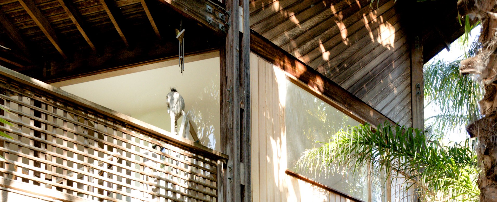 Secluded Beach House by MILEHAM - Architect & Custom Home Builder ...