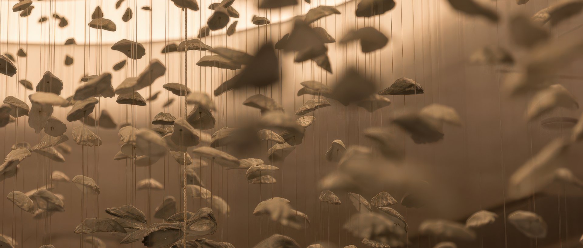 Corrs Chambers Westgarth, for Electrolight, Sydney. by Studio Enti | ArchiPro AU