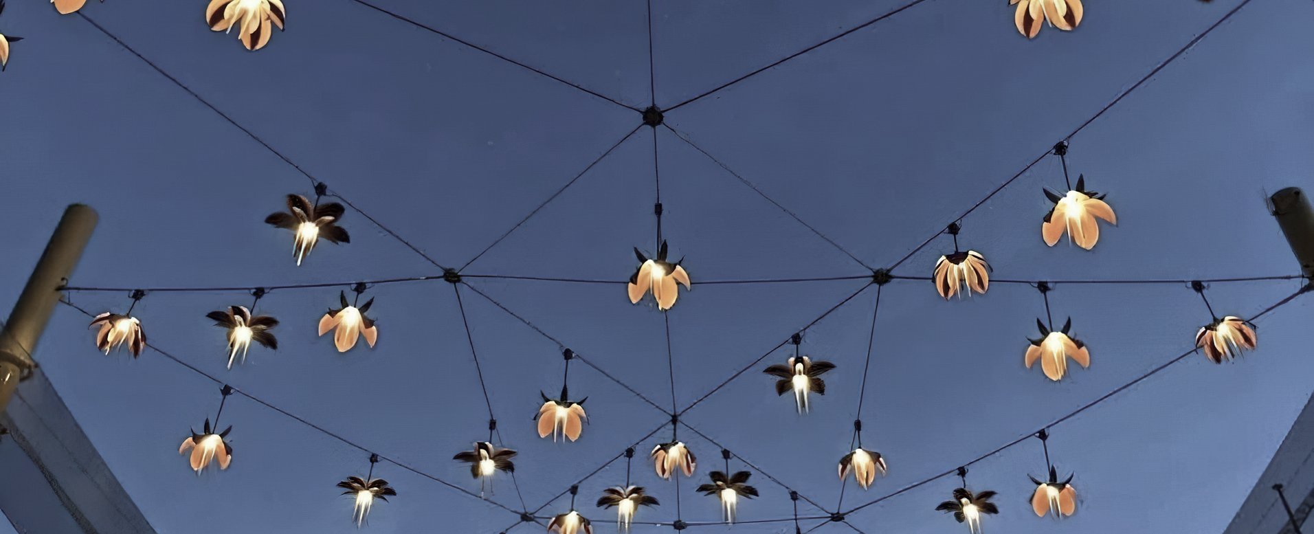 Greville Street by Webb Australia Group | ArchiPro AU