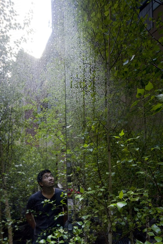 Infinity Forest - Scale Architecture | ArchiPro AU