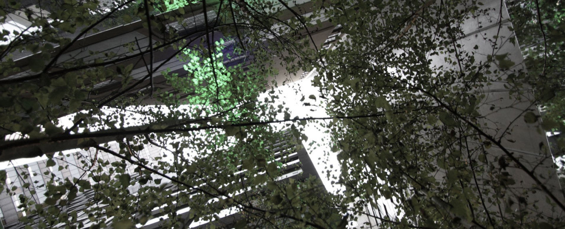 Infinity Forest by Scale Architecture | ArchiPro AU