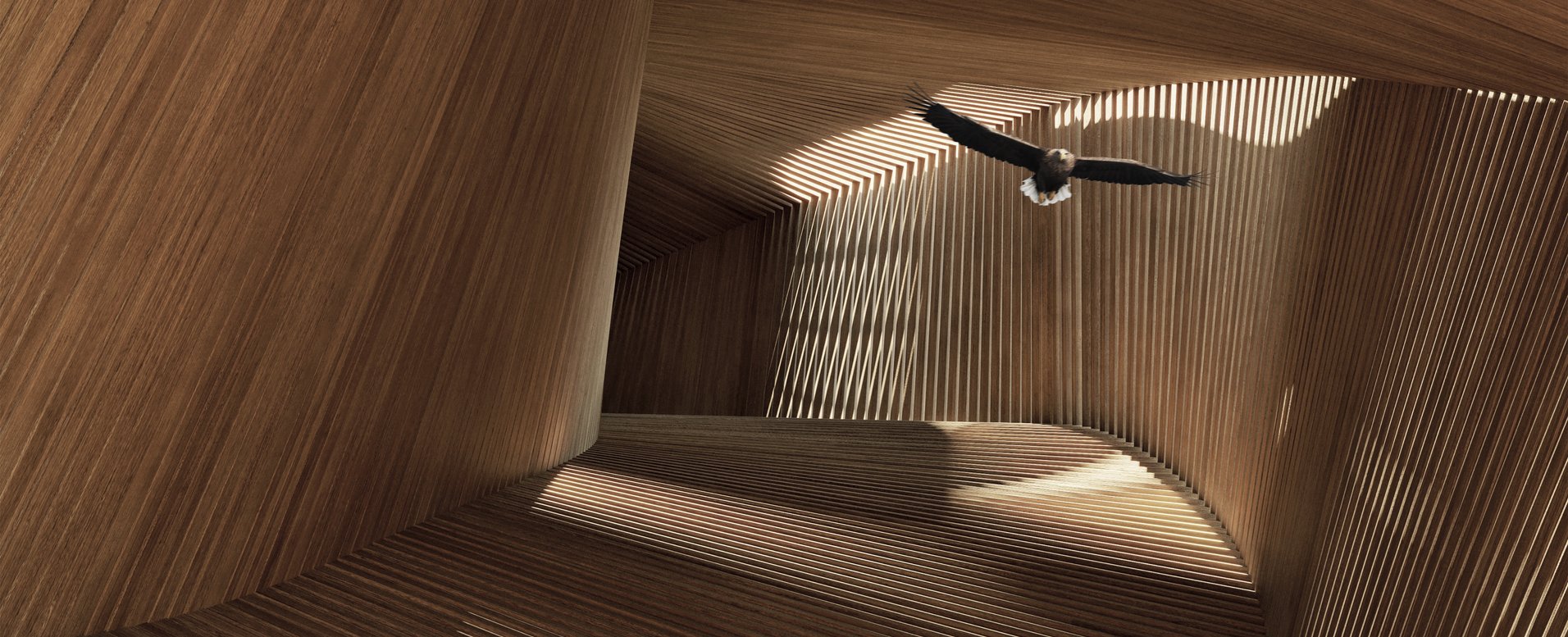 Raptor Enclosure by One Design Office | ArchiPro AU