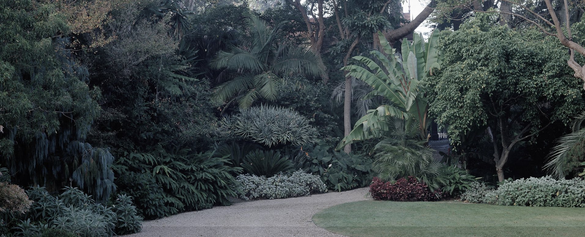 Bellevue Hill - 3 - Myles Baldwin Design | ArchiPro AU