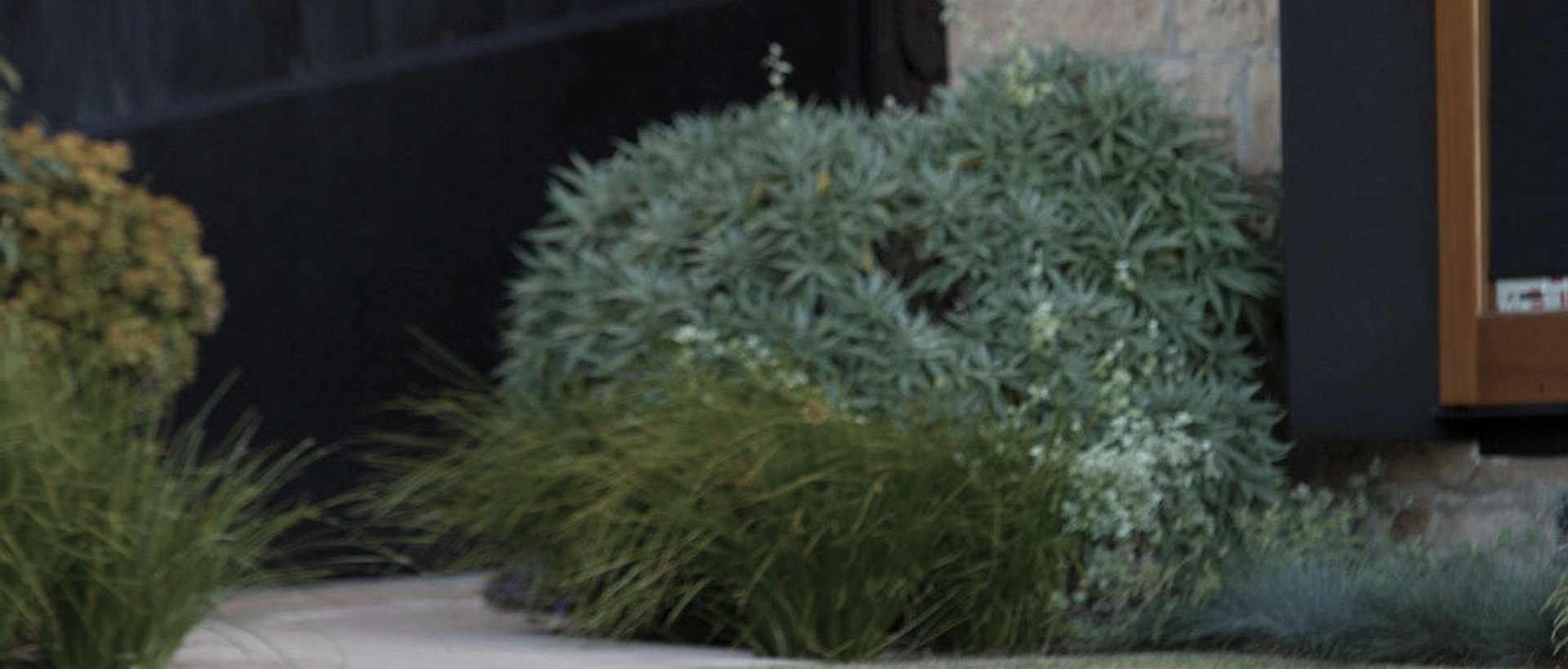 Bronte by Melissa Wilson Landscape Architects | ArchiPro AU