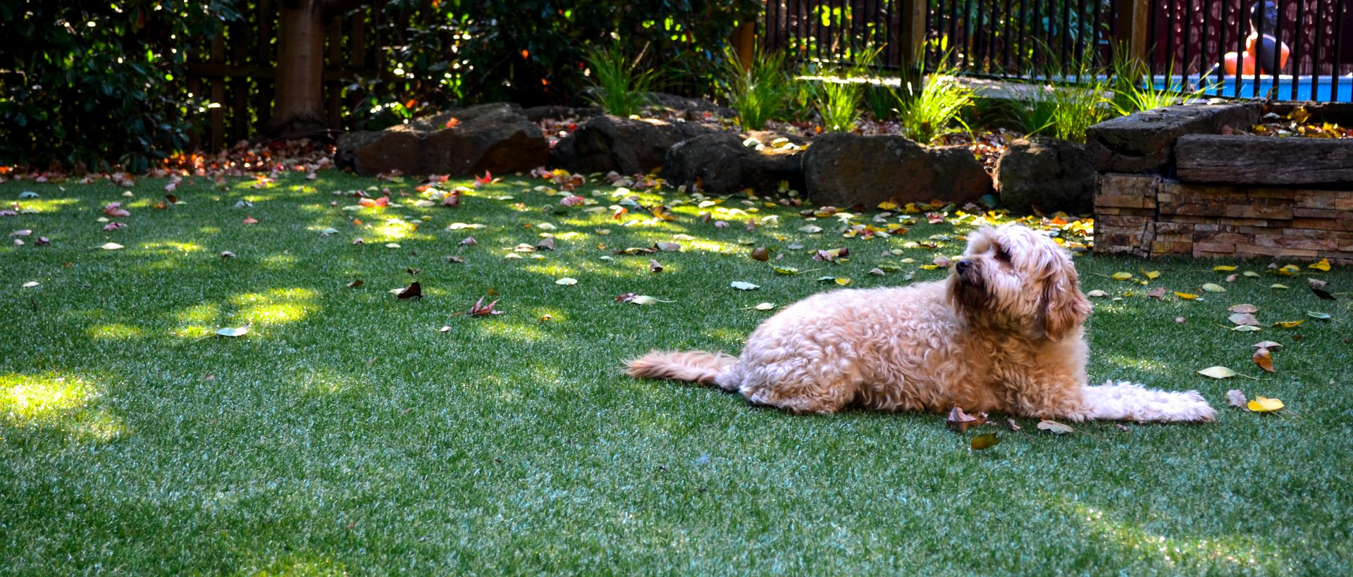 Private landscape project in Plenty by TigerTurf | ArchiPro AU