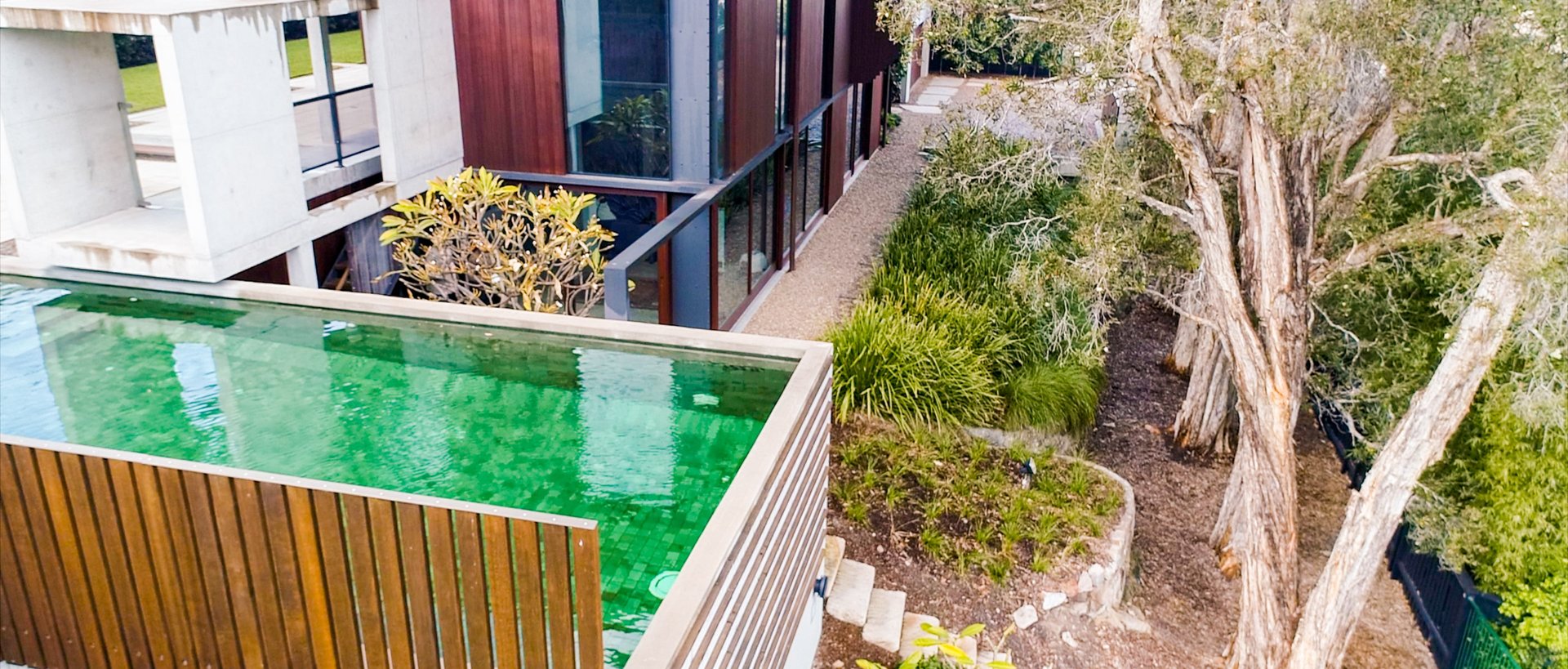 Privacy and Paperbarks by Bates Landscape Design | ArchiPro AU