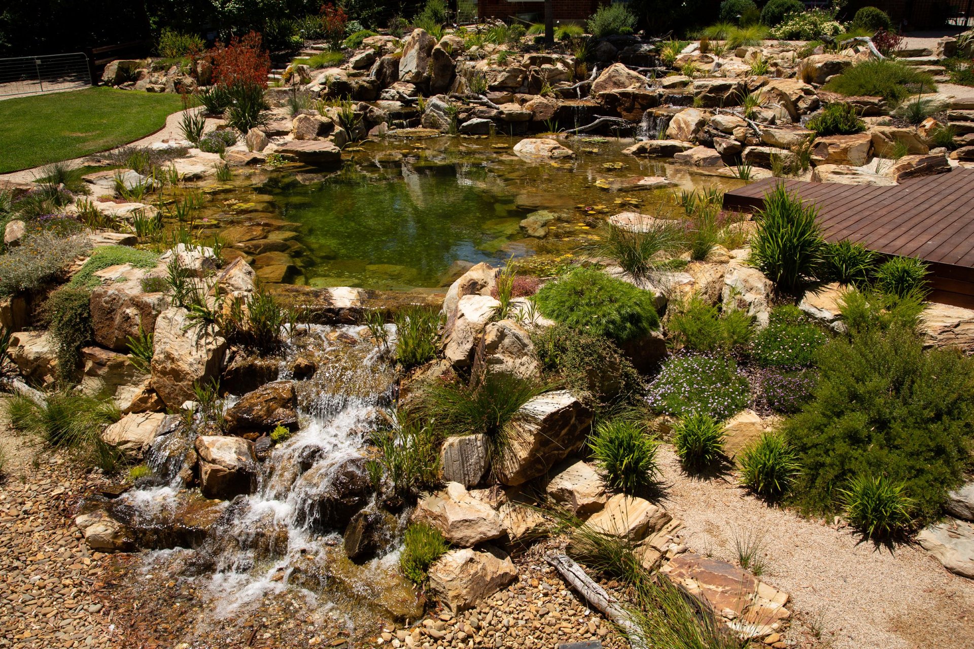 Crafers Aquatic Habitat by SA Waterscapes | ArchiPro AU