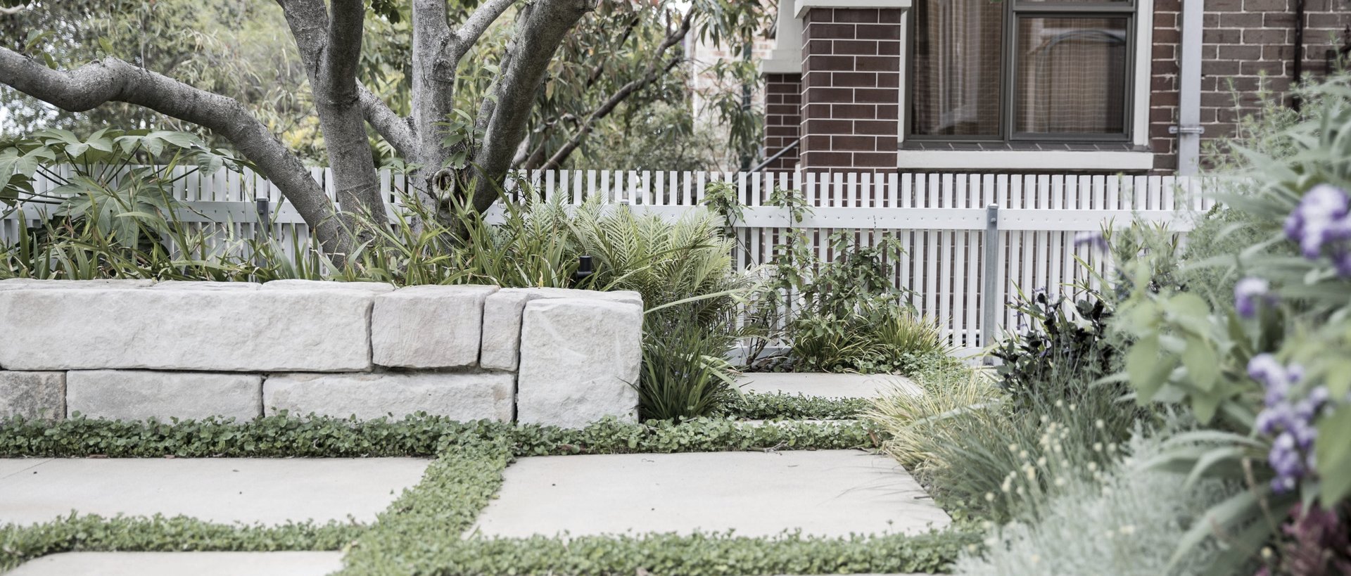 Howley Street by Melissa Wilson Landscape Architects | ArchiPro AU